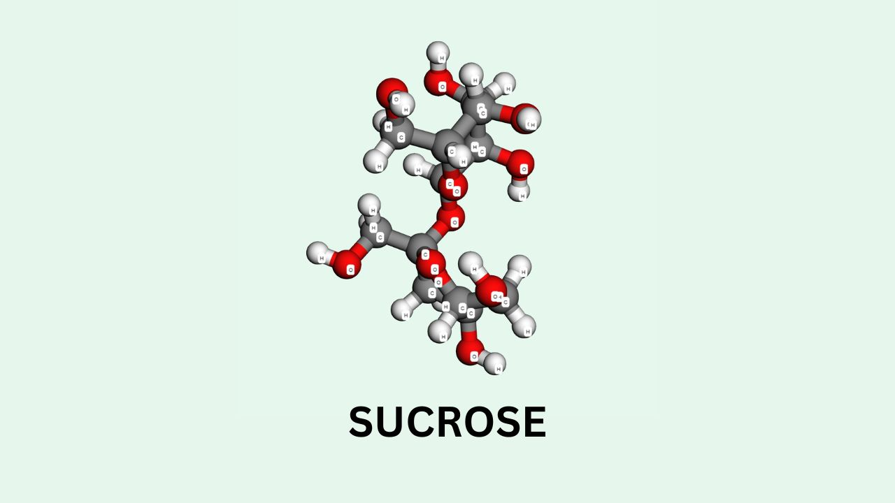 Sucrose là hợp chất gì? Tác dụng và cách dùng